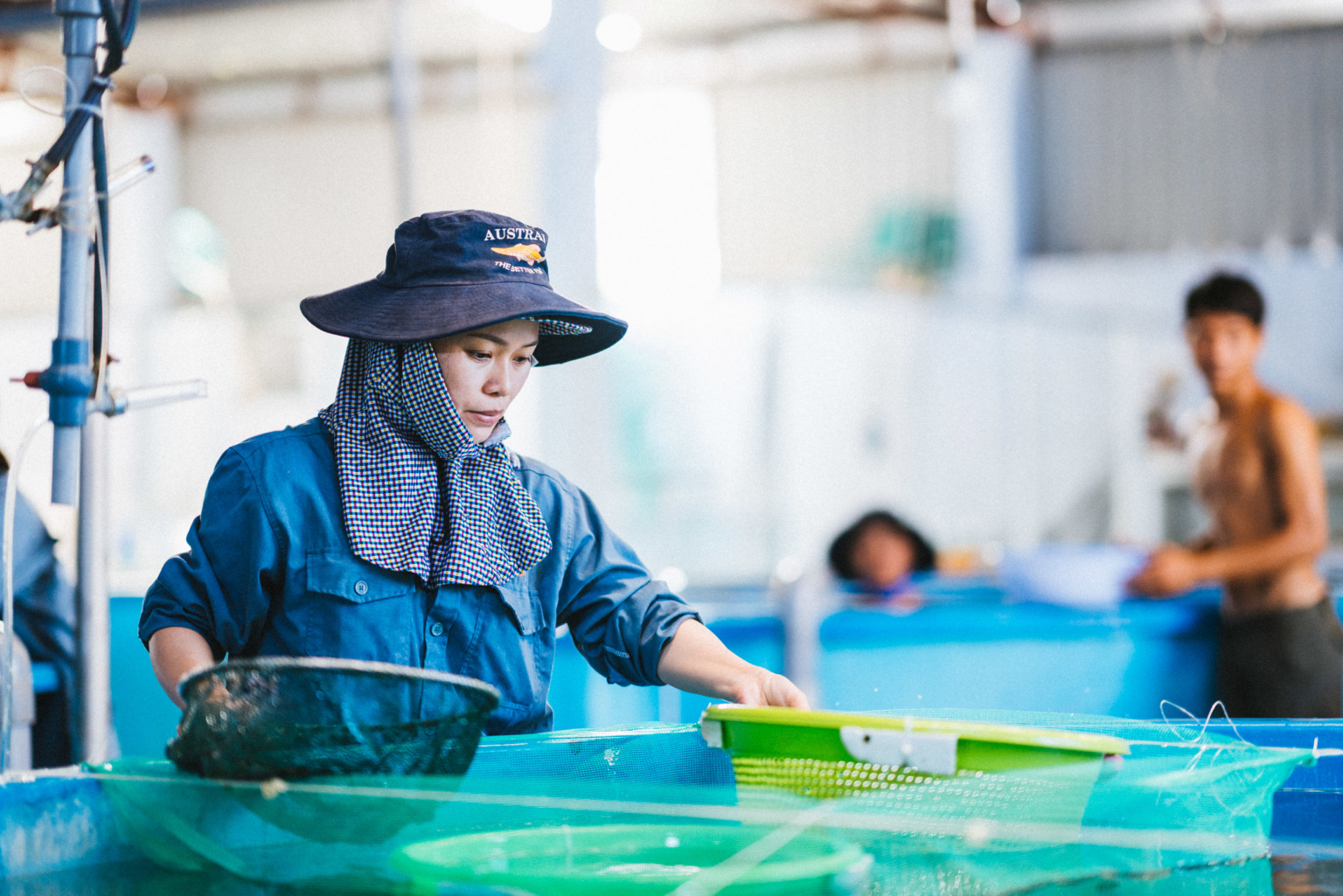 The Better Fish® Becomes Fair Trade Certified | The Better Fish ...