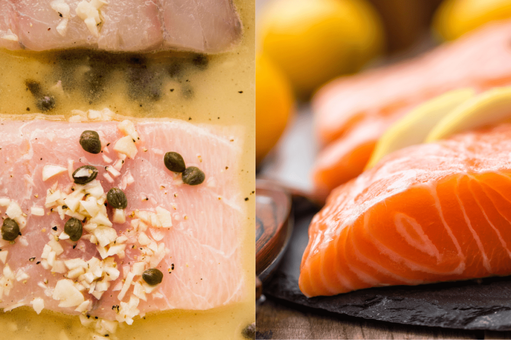 Barramundi vs. Salmon: How do these fish stack up? | The Better Fish ...